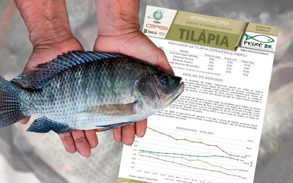 Seafood Media Group - Worldnews - Brazilian tilapia market